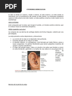 Anatomía de la Caja Timpánica | PDF | Oído | Sistema Auditorio