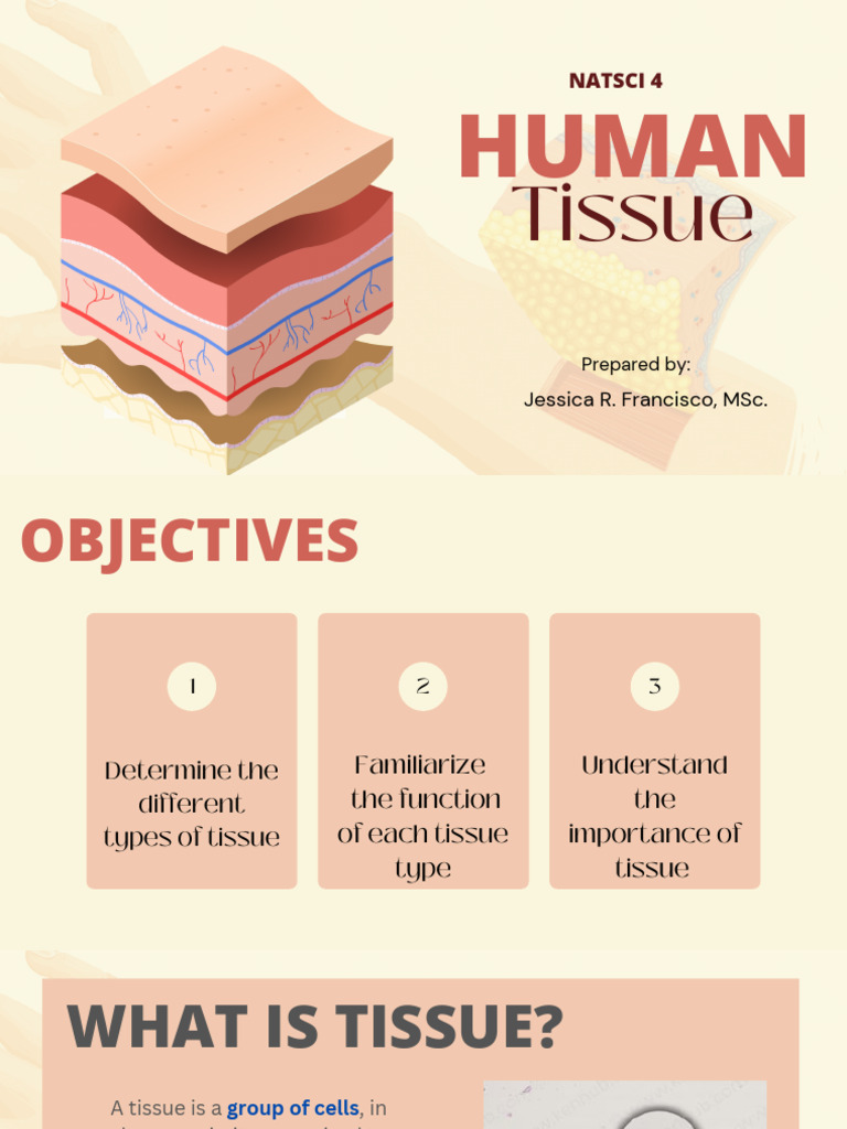 Lesson 4_Human Tissue and Function | PDF | Epithelium | Tissue (Biology)