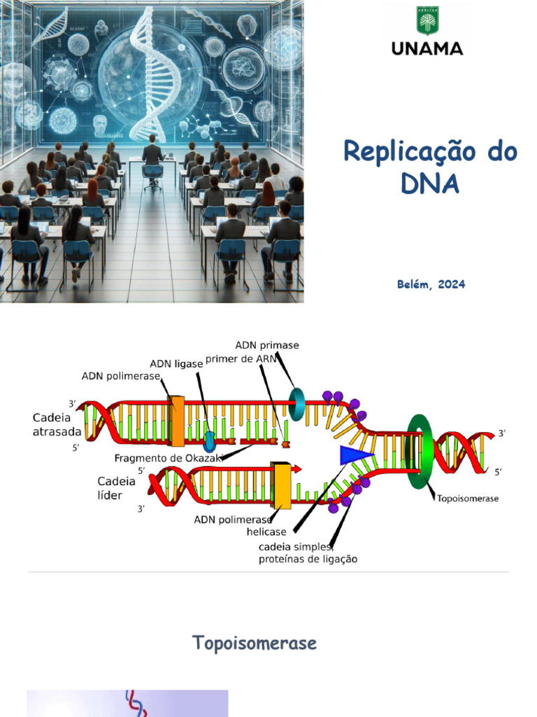Aula 3 Replicação Do Dna Enzimas Pdf Replicação De Dna Dna