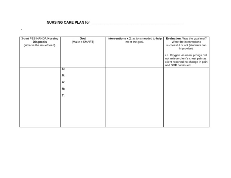 Nursing Care Plan Template Guide | PDF