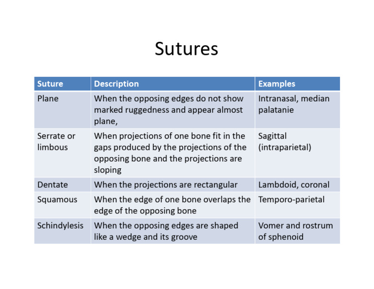 Types of Sutures in Anatomy | PDF | Language Arts & Discipline ...