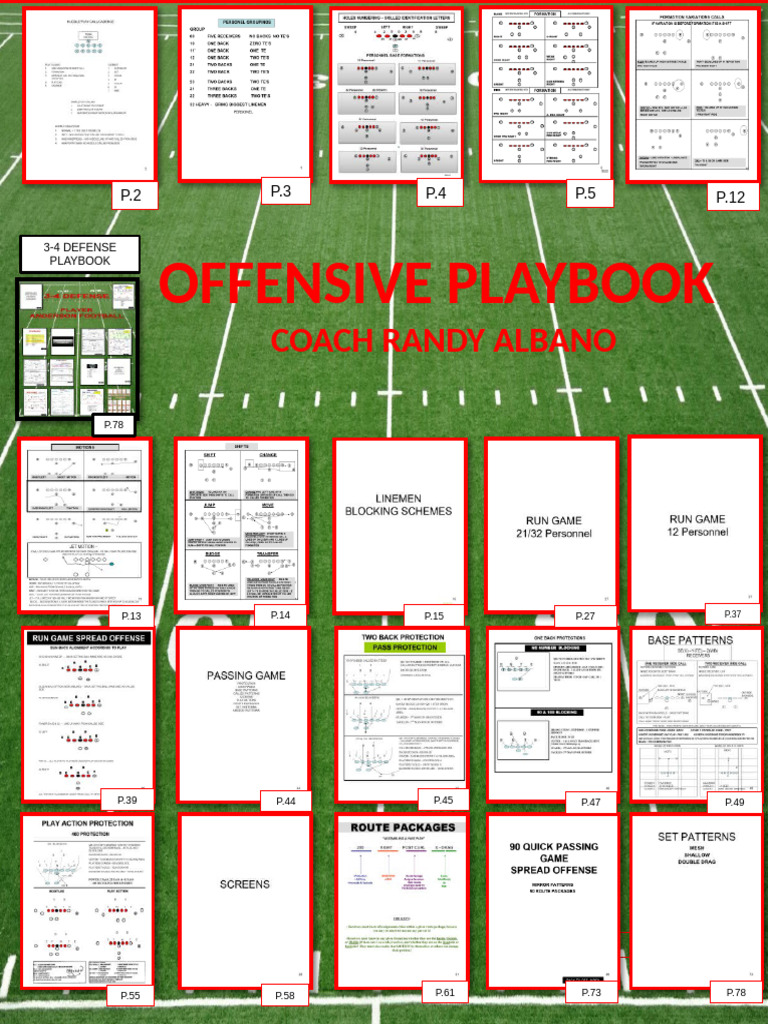 OffDef Playbook Player - Albano | PDF | National Football League Teams ...