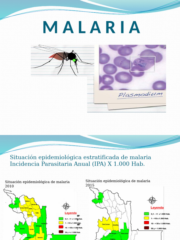 Malaria: Epidemiología y Prevención | PDF | Malaria | Plasmodium