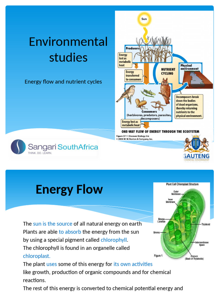 Energy Flow and Nutrient Cycles | PDF | Food Web | Water