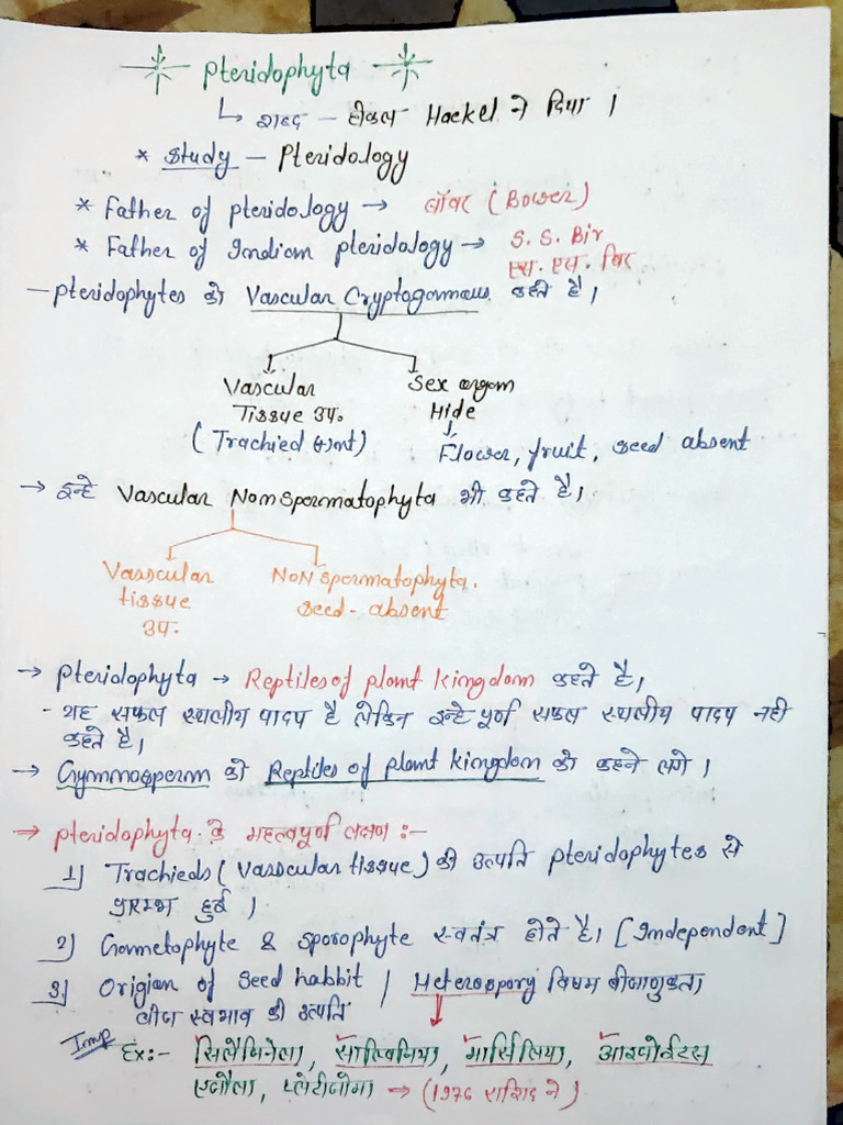 013) Plant Diversity 2 Invix | PDF | Eukaryotes | Histology