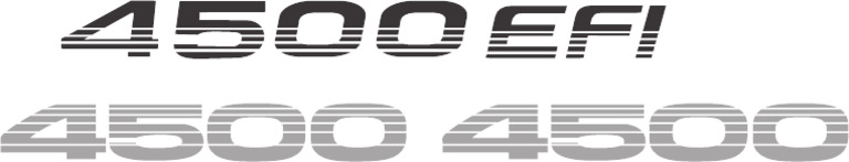 4500 Efi Autana | PDF