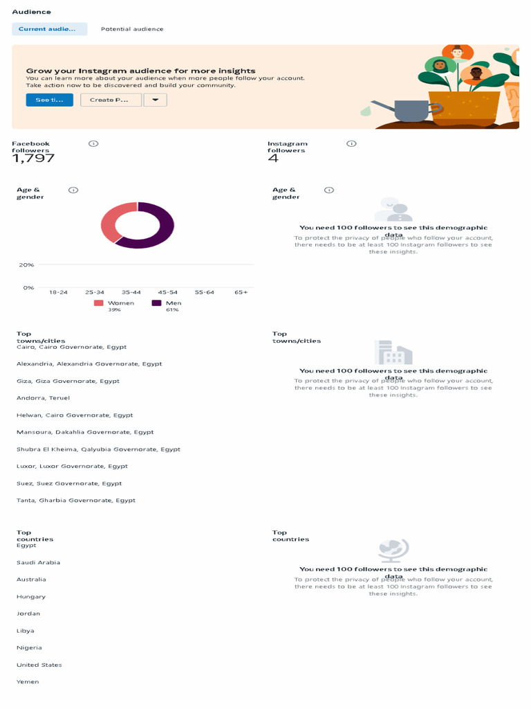 Report Odila | PDF