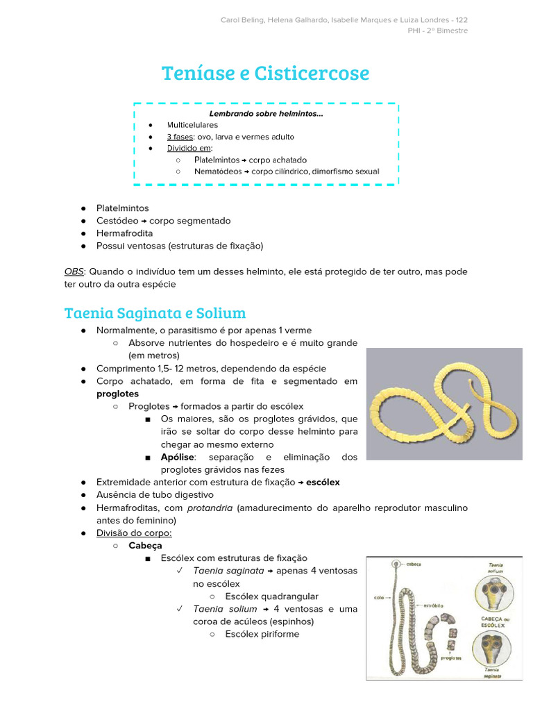 Teníase e Cisticercose: Informações Essenciais | PDF | Medicina Clínica ...