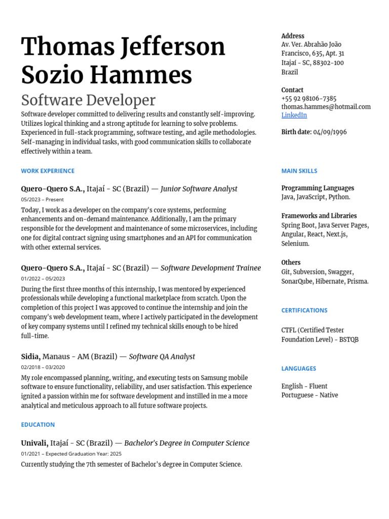 Thomas Hammes - Resume (En) | PDF | Web Development | Computing