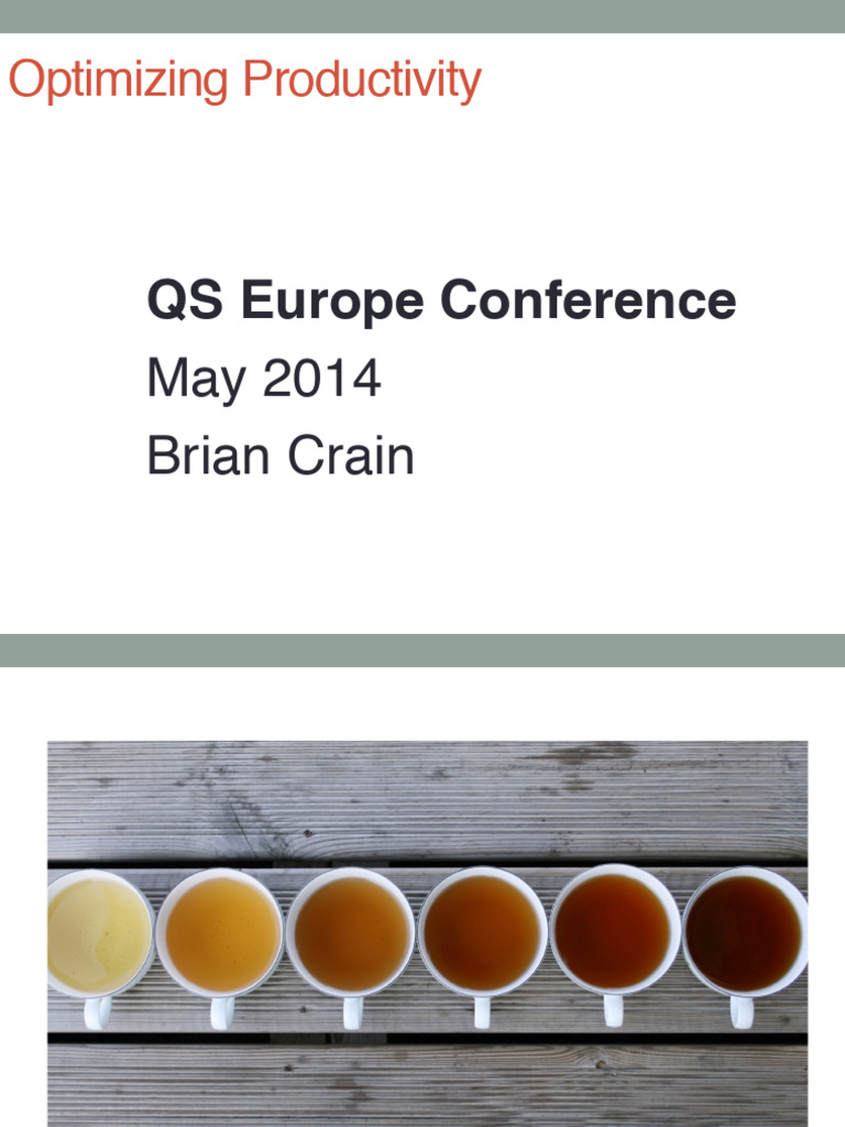 Optimizing Productivity | PDF | Business