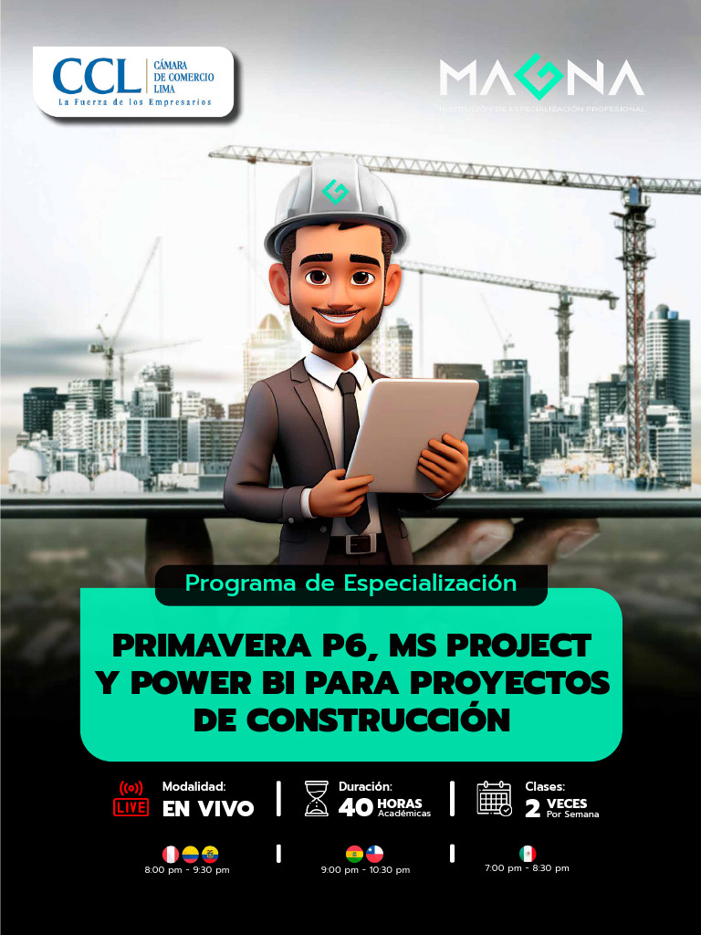 Primavera P6, MS Project y Power Bi para Proyectos de Construcción ...