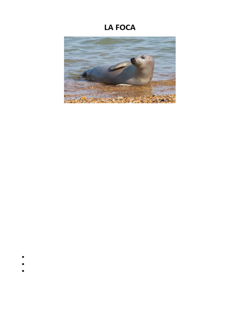 Trabajo La Foca | PDF
