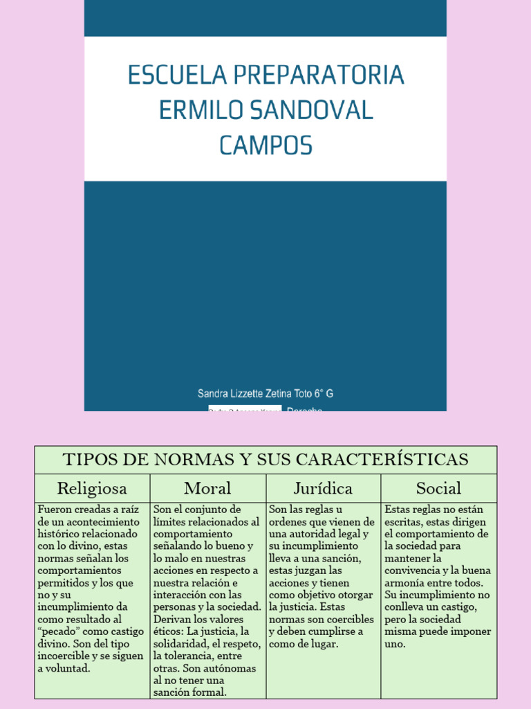 Tipos de Normas y Sus Caracter-Sticas | PDF