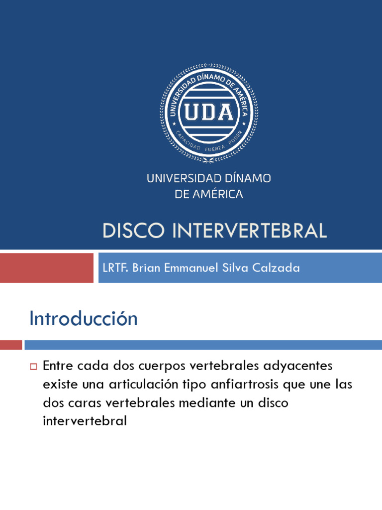 Disco Intervertebral | PDF