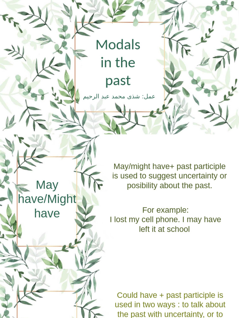 Modals in the Past | PDF