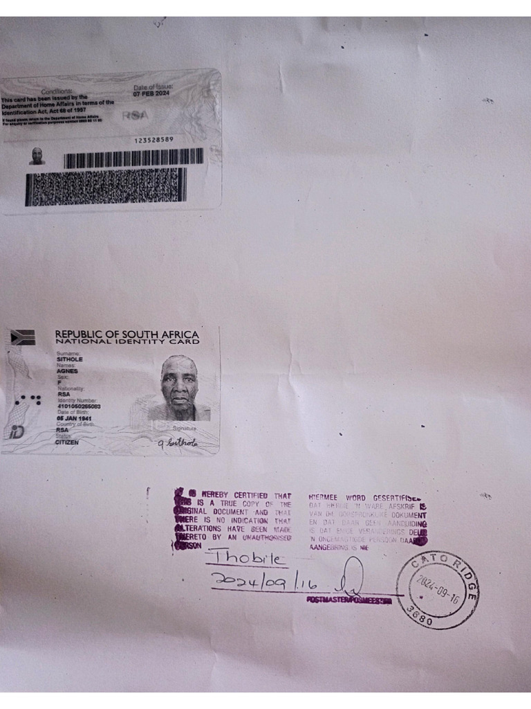 Gogo Id | PDF