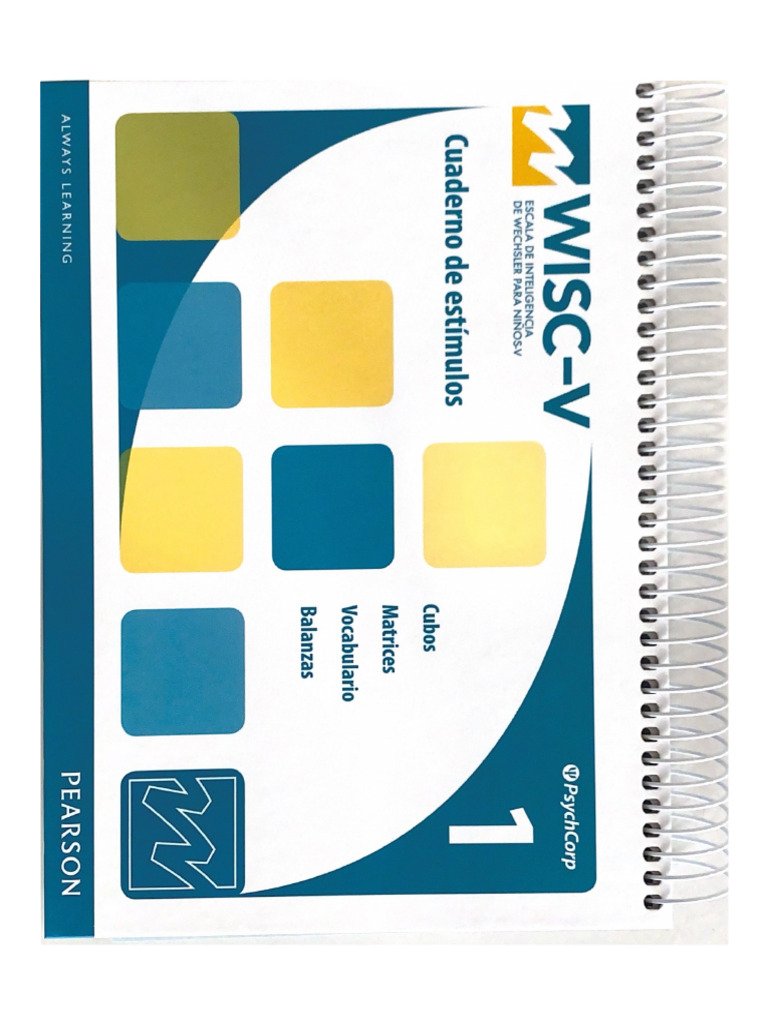 Wisc V | PDF