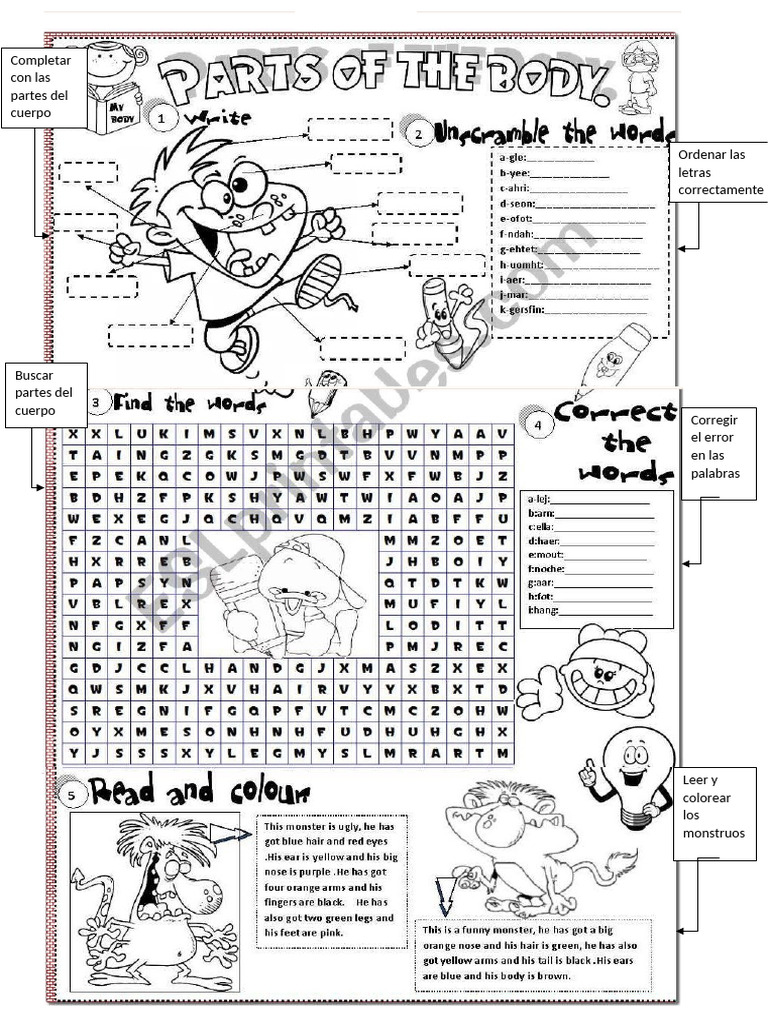 Partes Del Cuerpo Practise Pdf