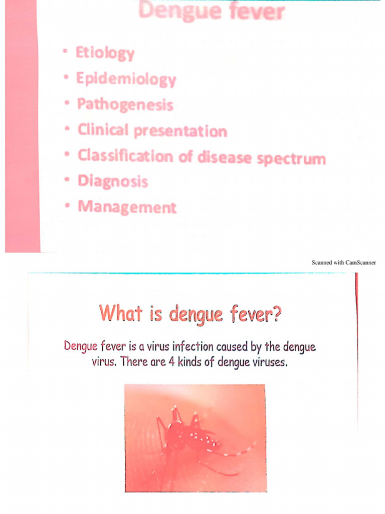 Dengue | PDF