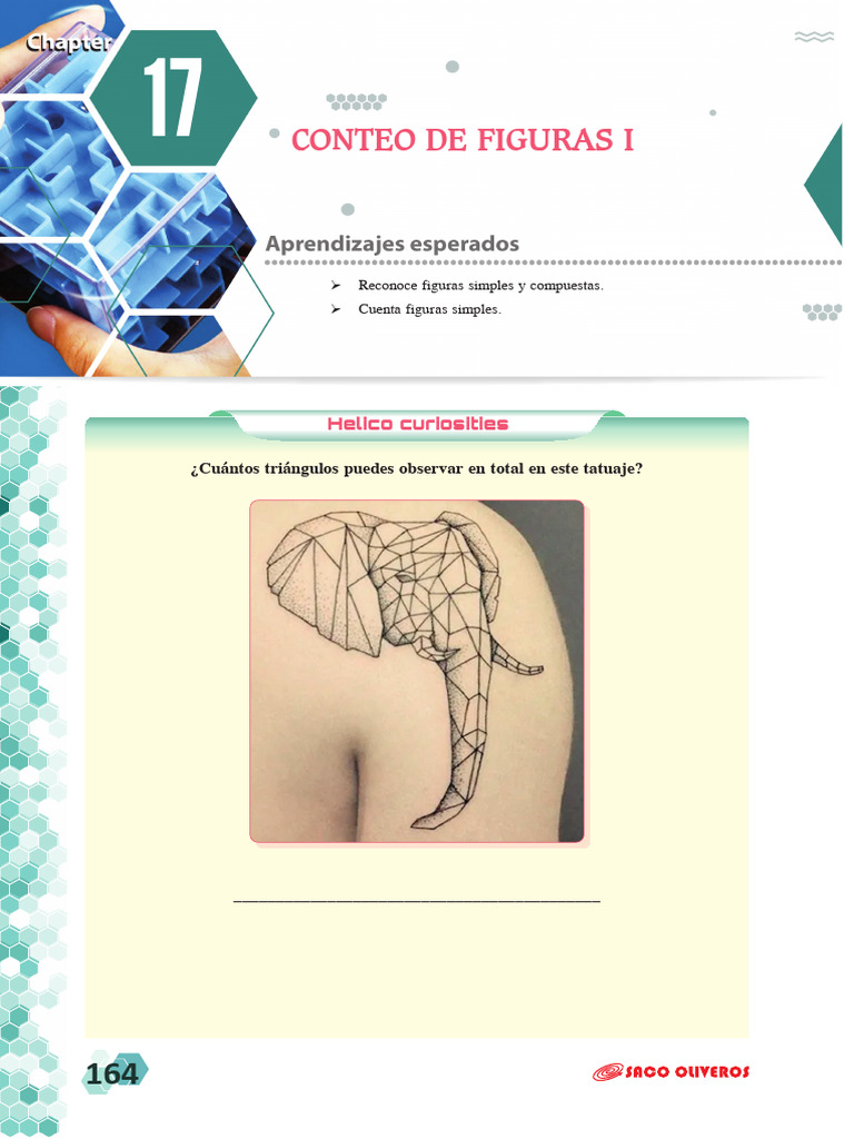 RM Cap17 Compendio | PDF