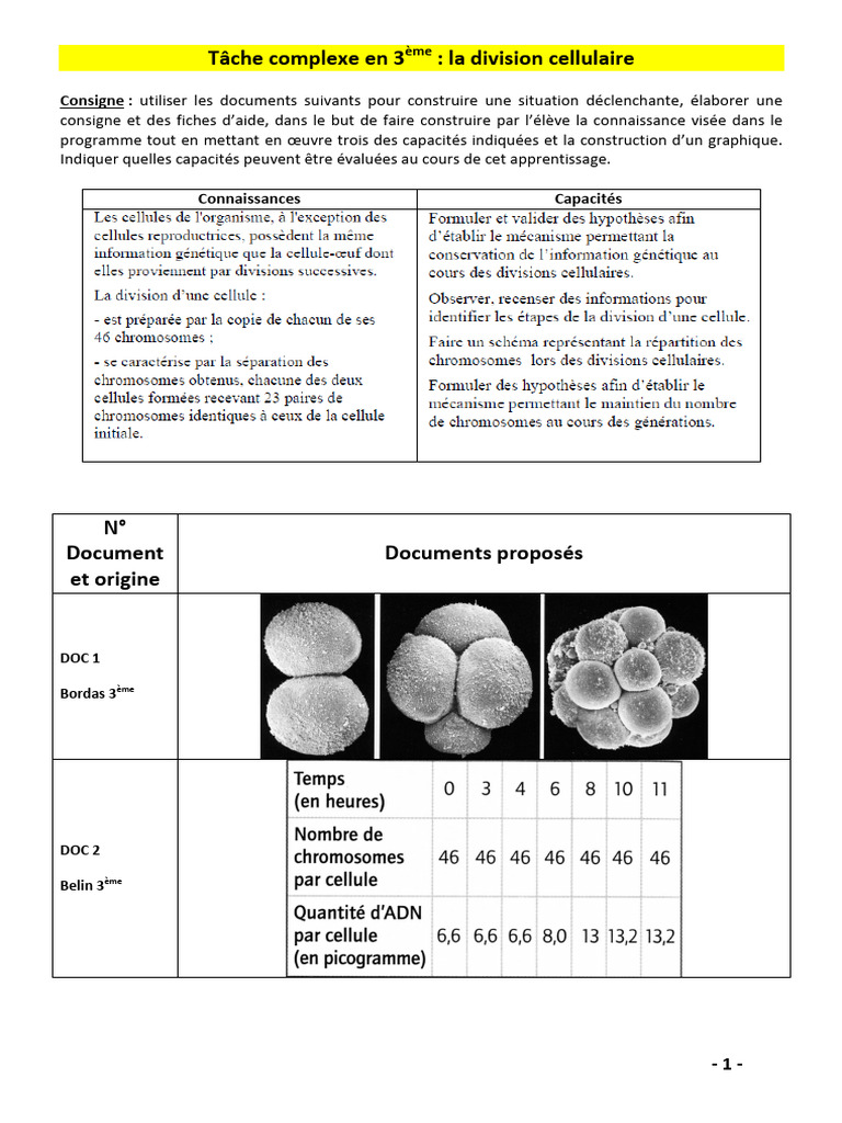 Schéma de la division cellulaire en 3ème | PDF | Chromosome | Cellule ...