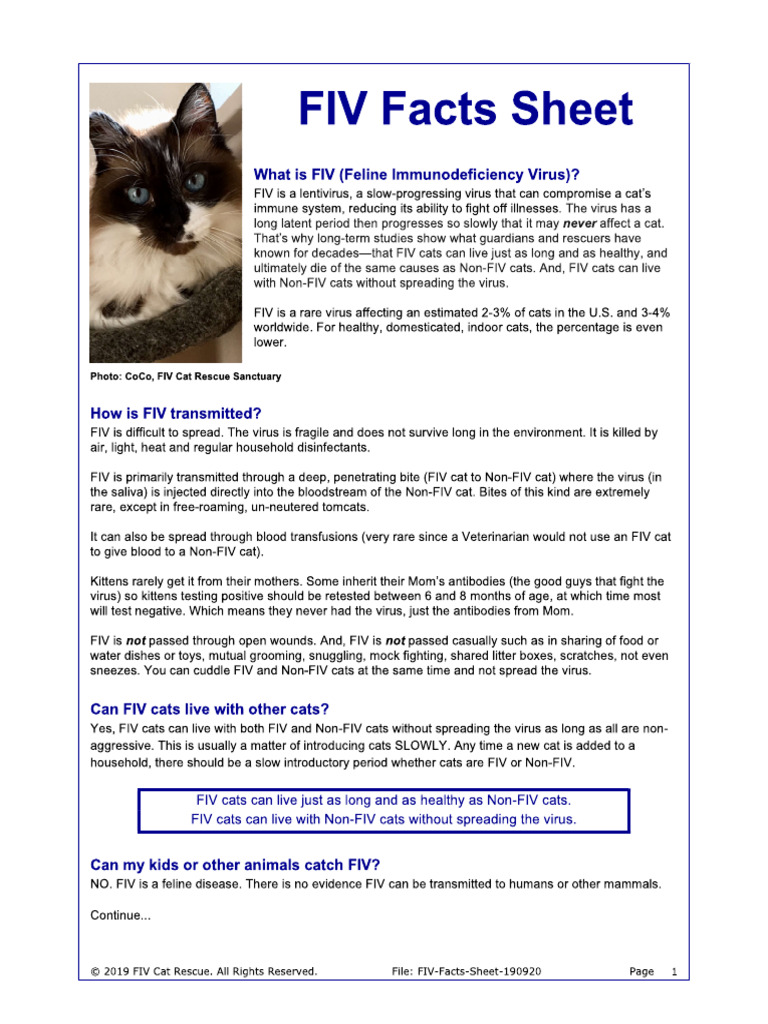 FIV-Fact-Sheet | PDF