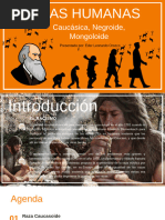 Los Caucásicos | PDF | Gente blanca | Tipología Lingüística
