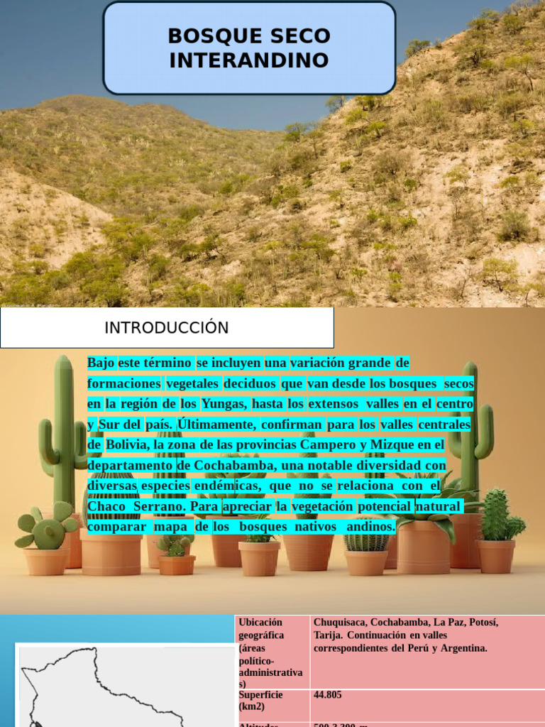 Bosque Seco Interandino en Bolivia | PDF | Bolivia | Ciencias de la Tierra