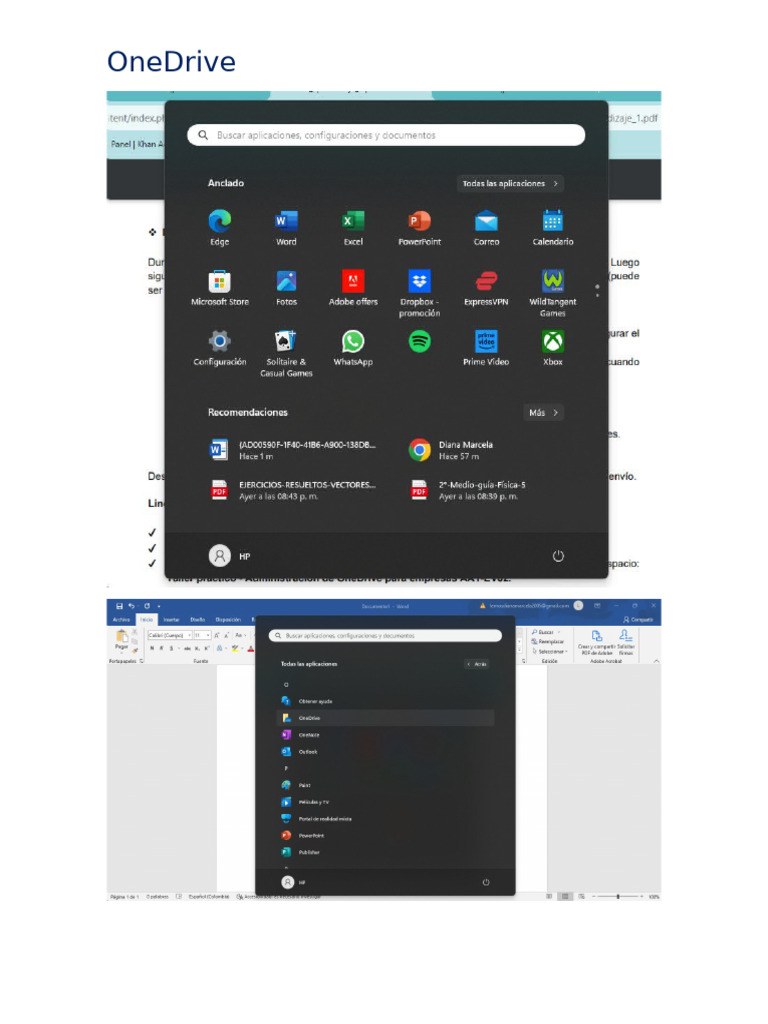 OneDrive Diana Flor | PDF