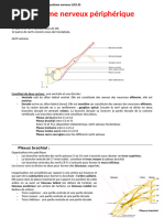 Les Nerfs Craniens Et Rachidiens | PDF | Nerf | Neuroanatomie