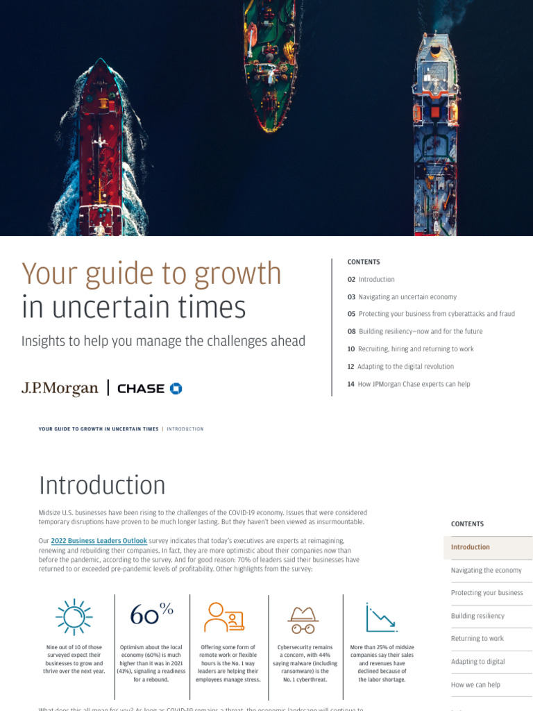Guide To Growth Ebook FINAL ADA2 | PDF | Computer Security | Security
