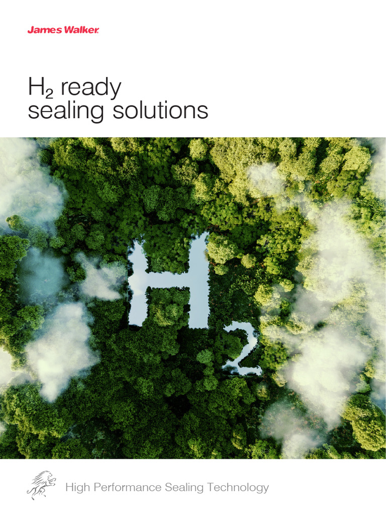H2 Ready Sealing Solutions (1) | PDF | Materials | Chemical Substances