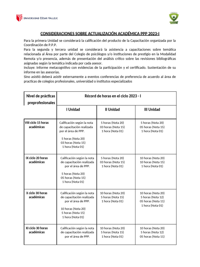 Actualización Académica PPP 2023-I | PDF