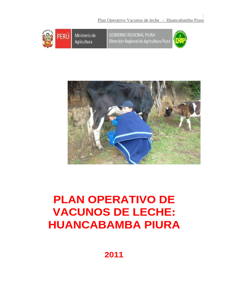 Plan Operativo Leche Huancabamba 2011 | PDF | Leche | Productos lácteos
