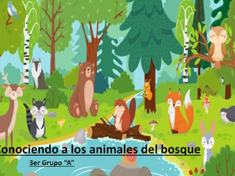 Conociendo A Los Animales Del Bosque | PDF | Religión y espiritualidad
