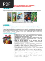 Presentación Técnica Dripping | PDF | Las artes