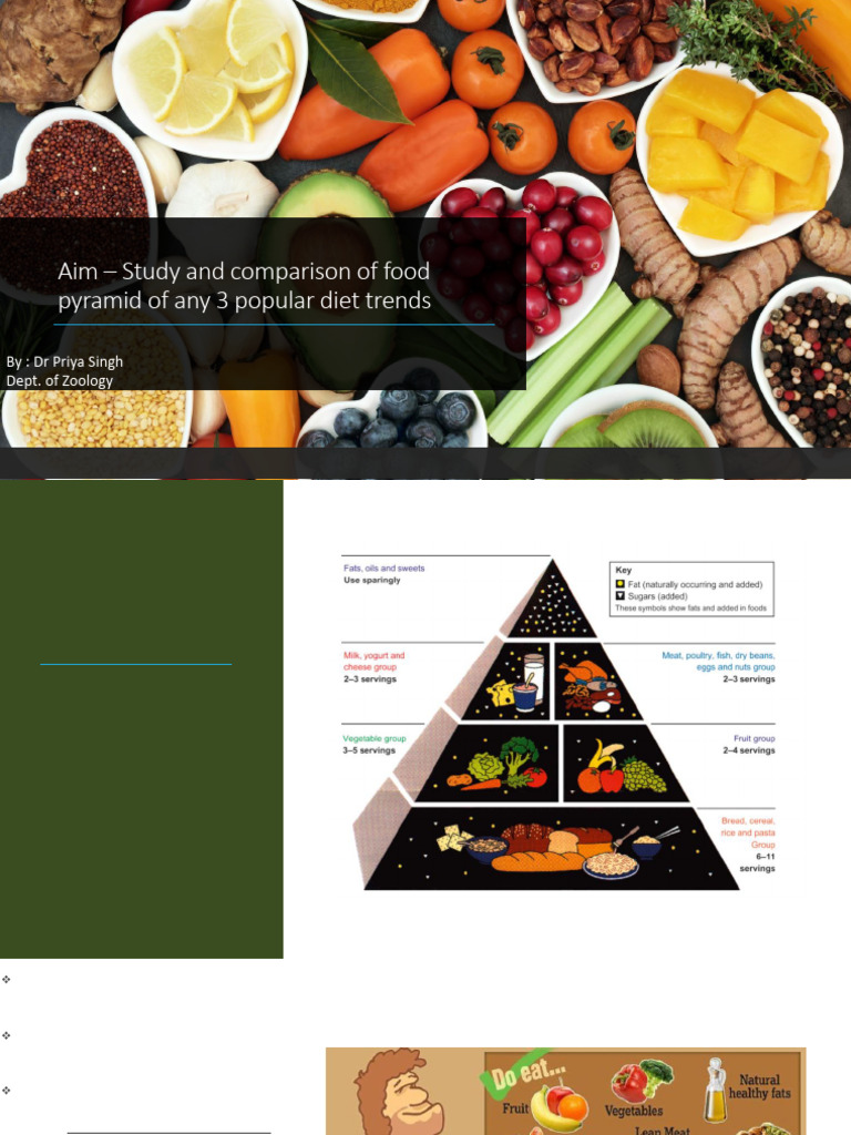 3 Diff Types of Diet | PDF | Paleolithic Diet | Dieting