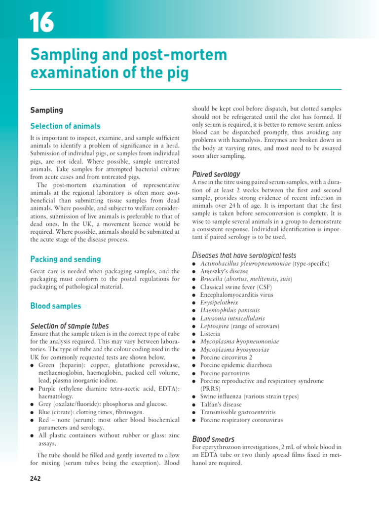 Sampling Method and Post Mortem in Pig | PDF | Lung | Lymphatic System