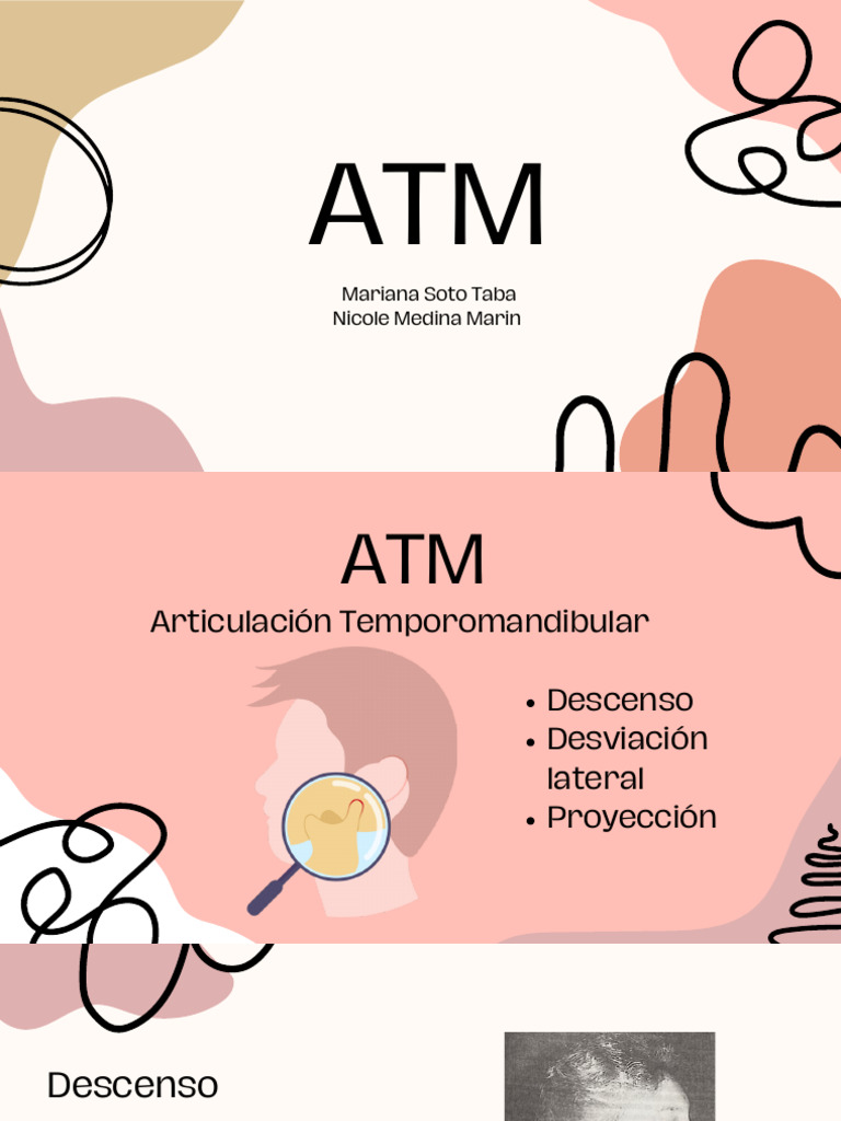 ATM | PDF | Anatomía humana | Sistema musculoesquelético