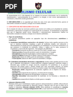 Ciclosis y Procesos Celulares Esenciales | PDF | Fotosíntesis ...