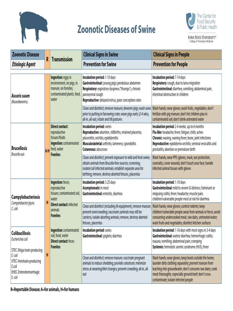 Zoonotic Diseases of Swine Table | PDF | Diseases And Disorders ...