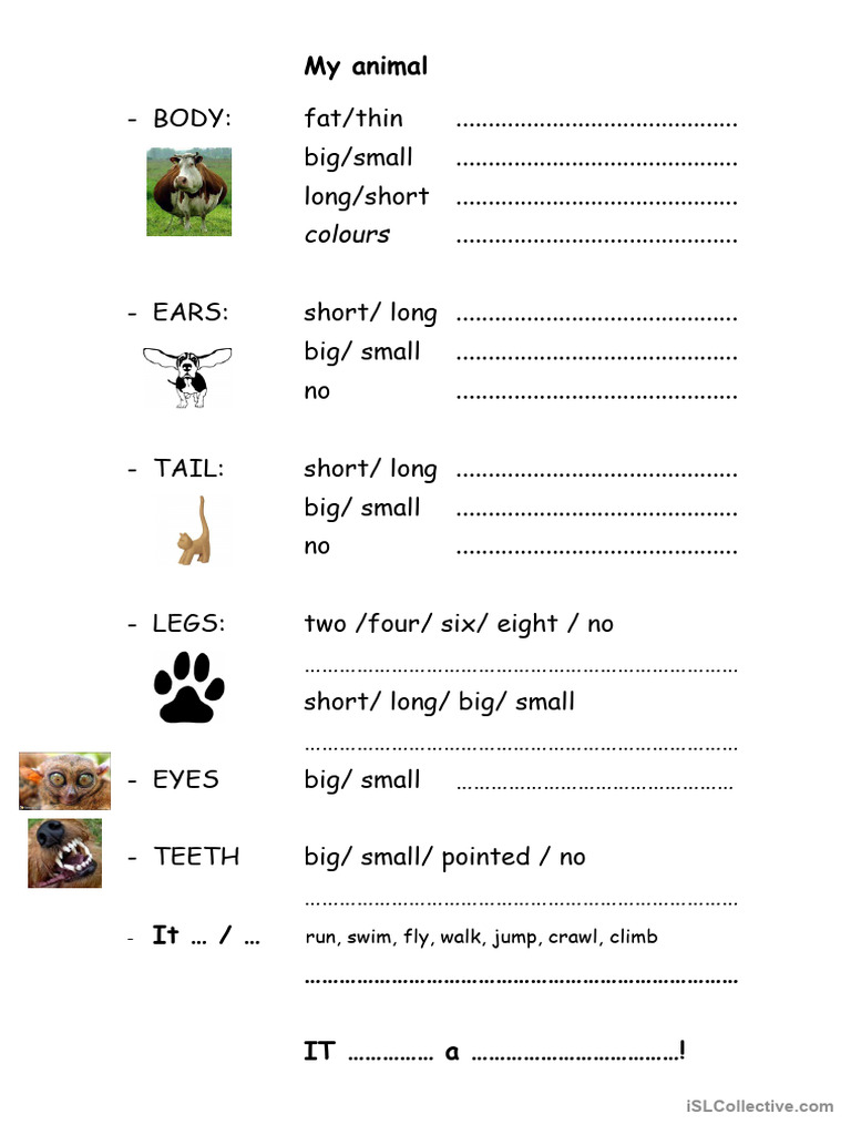 My animal | PDF