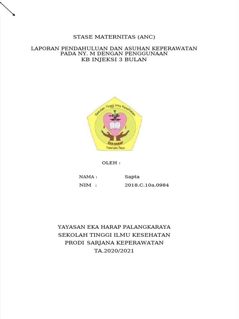 PDF KB Injeksi 3 Bulan Compress | PDF | Kesehatan Holistik | Sains ...