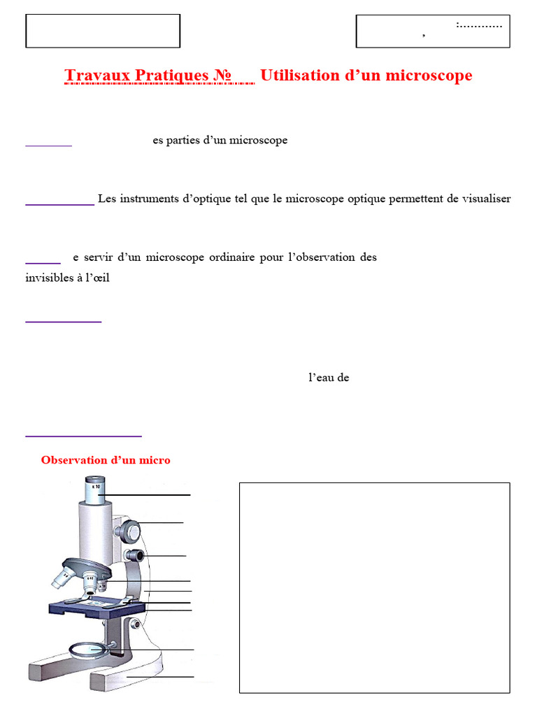 Schéma annoté d'un microscope ordinaire | PDF | Microscope | Optique