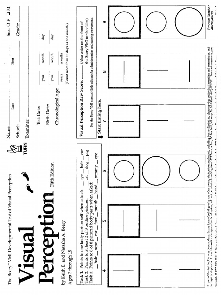 Protocolo Visual Perception VMI | PDF