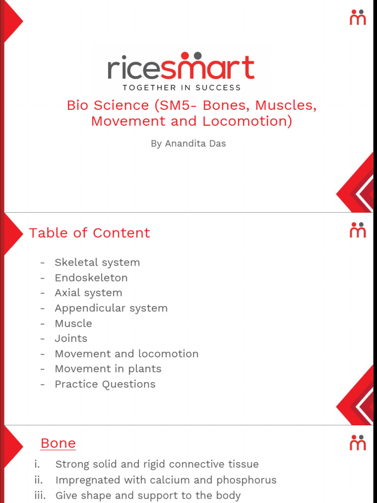 Asset-V1 RICE+38 10 3455+2021 Q1+type@asset+block@LMS Bio SM 5 Bone 1 | PDF | Muscle | Skeletal ...