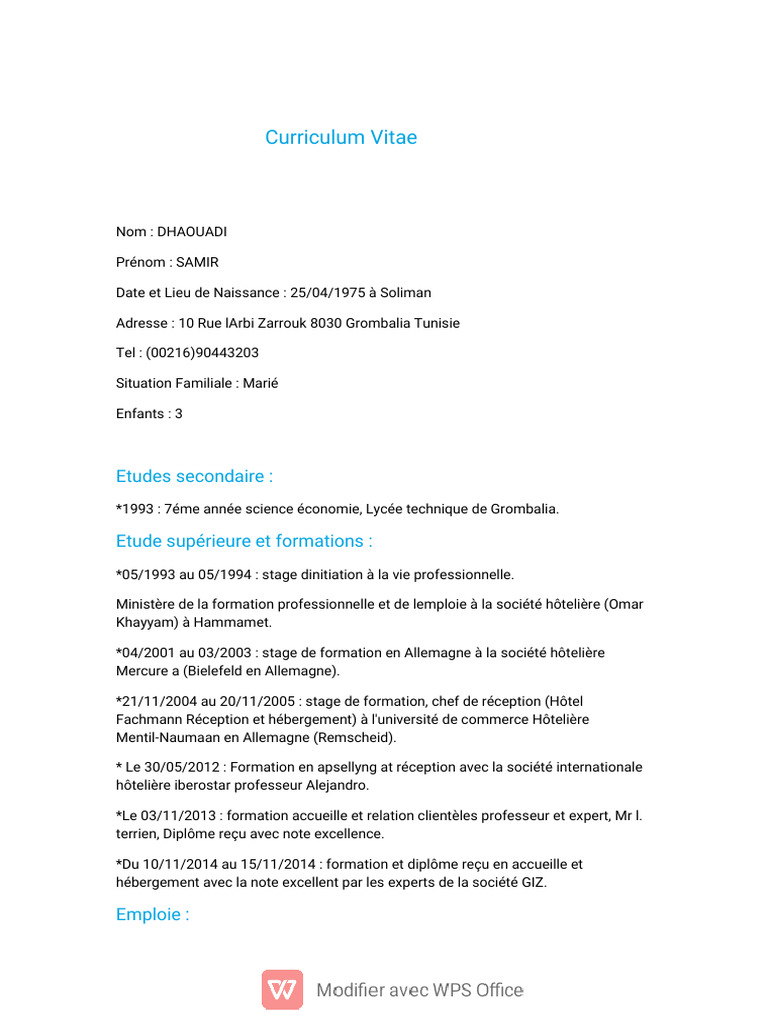 CV Samir Dhaouadi | PDF