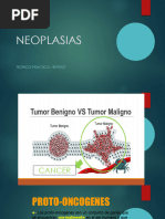 Clasificacion Histologica Internacional de Tumores | PDF | Cáncer | Neoplasias