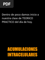 Inclusiones Citoplasmáticas: Función y Relevancia | PDF | Biología ...