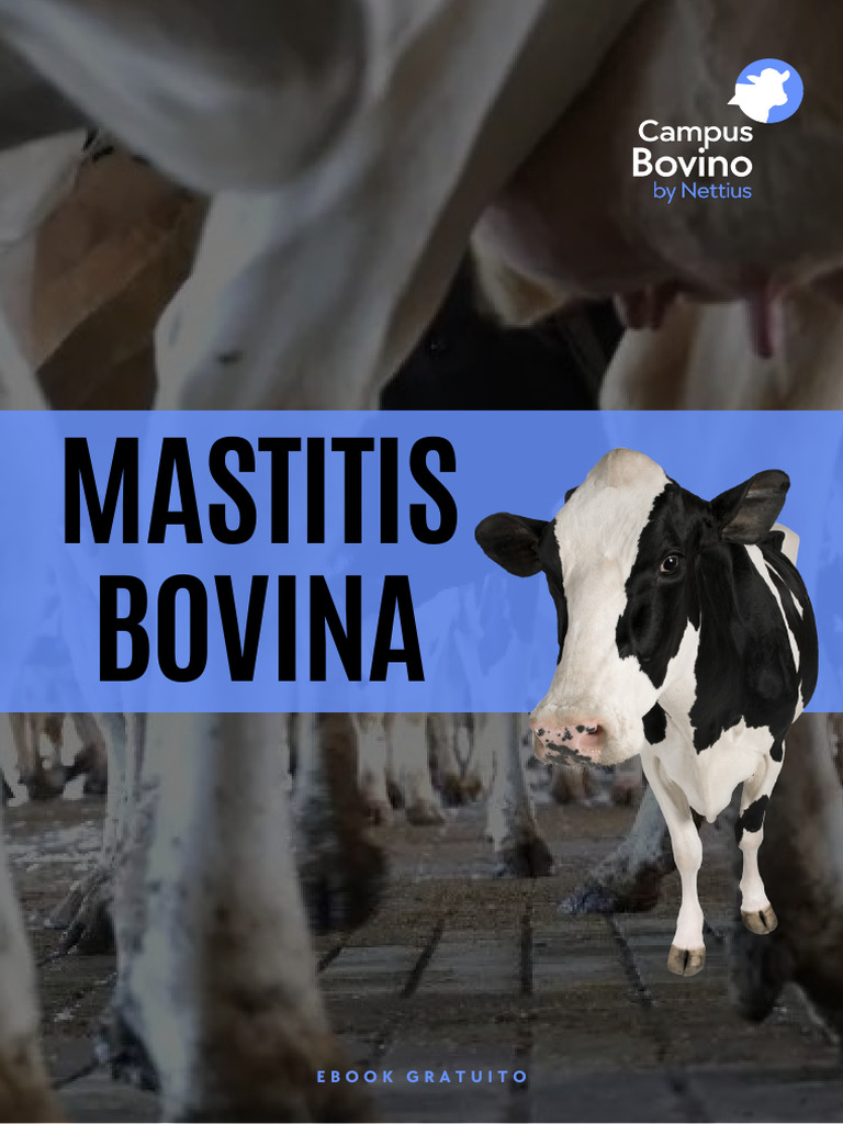 F733cb4-Dfb5-35aa-14a7-4be24007b8b Mastitis Bovina - Campus Bovino 1 ...
